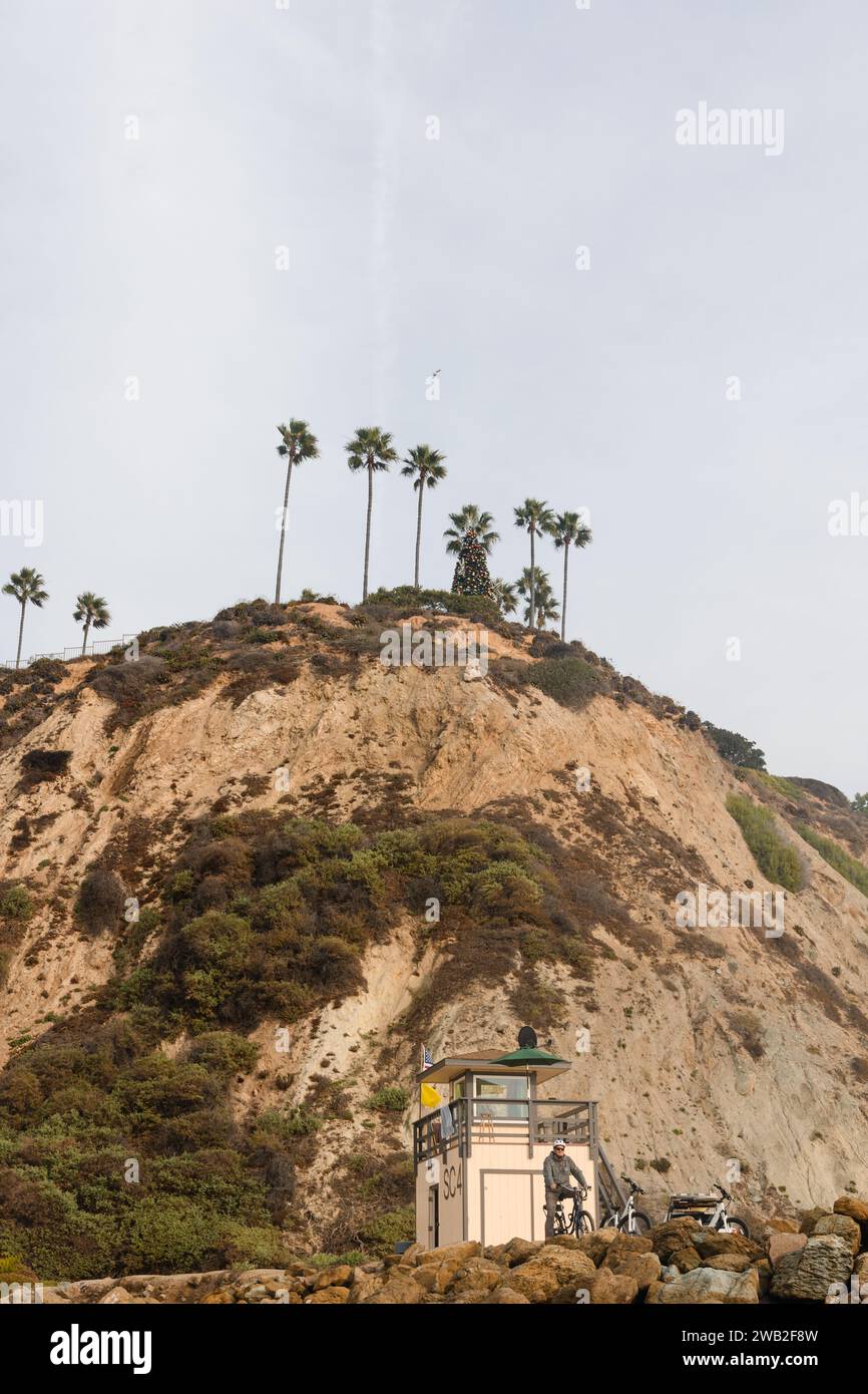 Ritz Carlton christmas tree above Salt Creek Point Stock Photo - Alamy