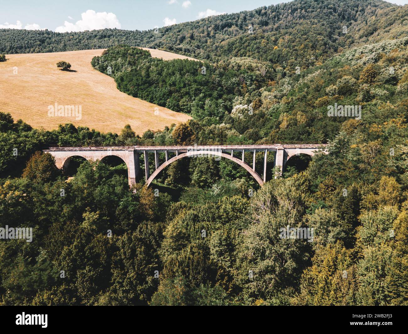 Aerial view of historical stone railway bridge in Slovakia. High, fully ...