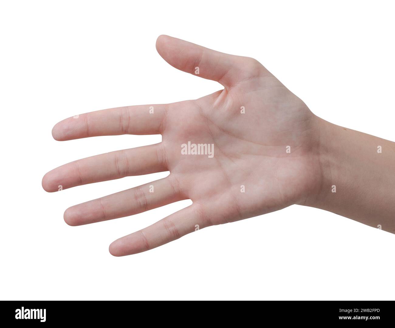 Open palm up hand close up: kindness and help concept Stock Photo - Alamy
