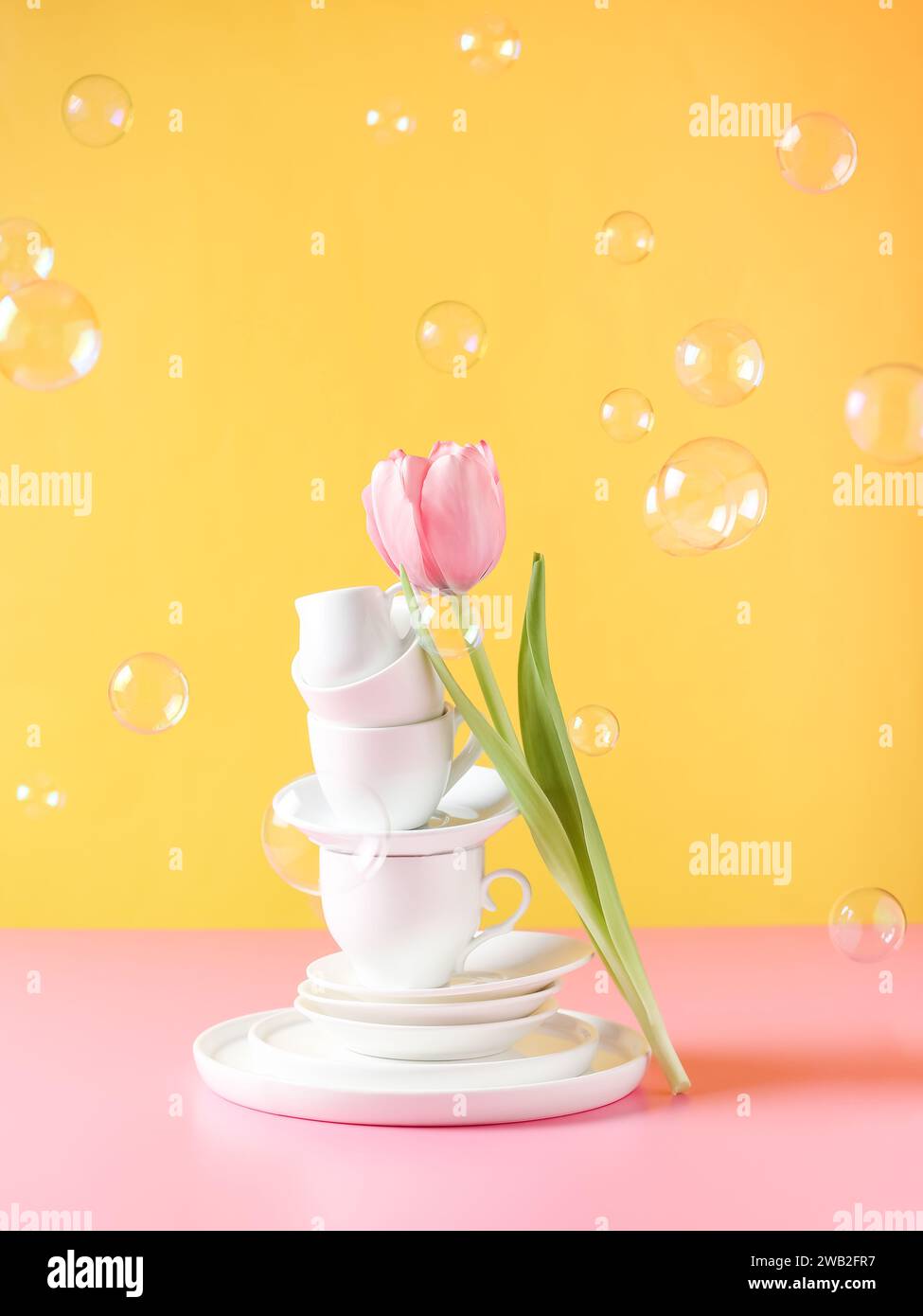 Balance with Whimsical white Cups and Tulip Still Life Composition ...