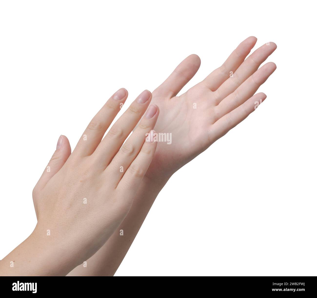 Young woman clapping hands isolated, celebration and success concept ...