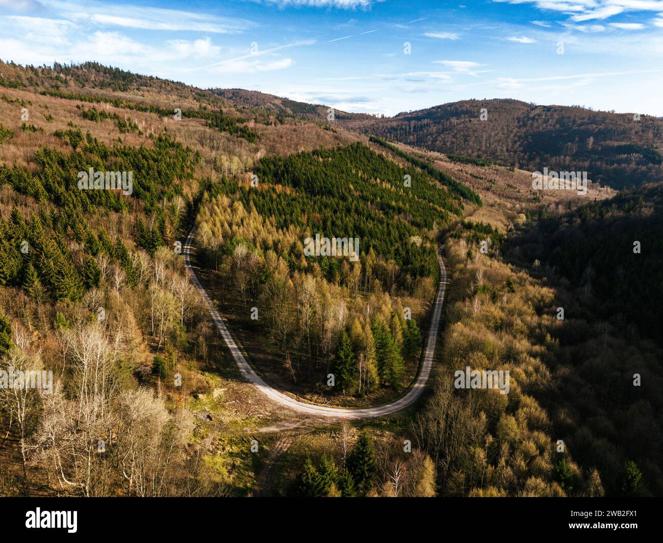 Aerial view of awakening spring nature. Deciduous forest with leafless ...
