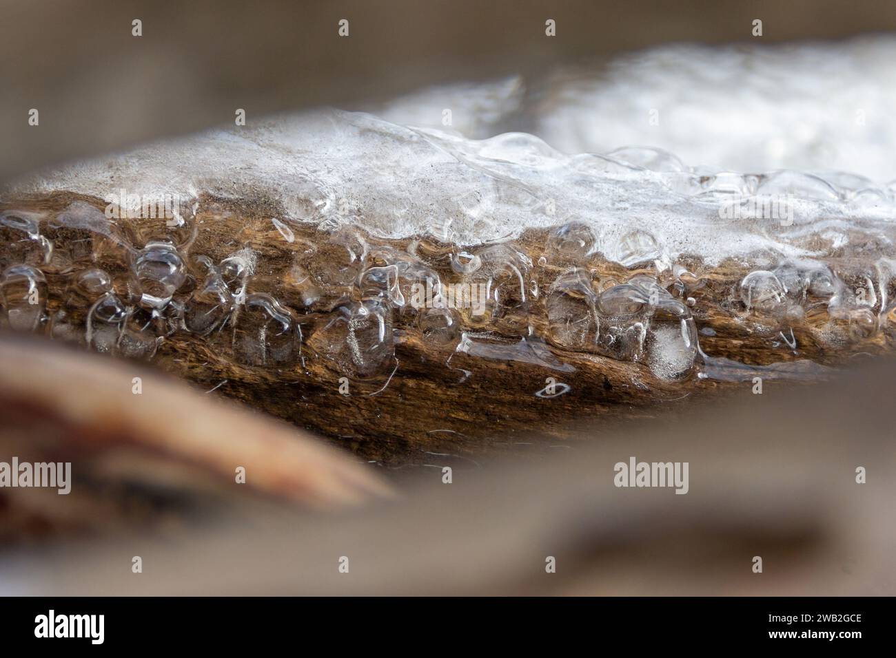 Ice frozen on log perspective shot Stock Photo - Alamy