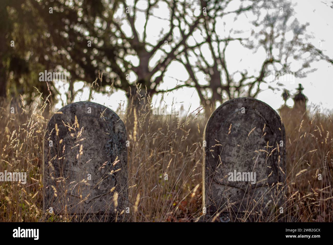 Hidden grave stone hi-res stock photography and images - Alamy