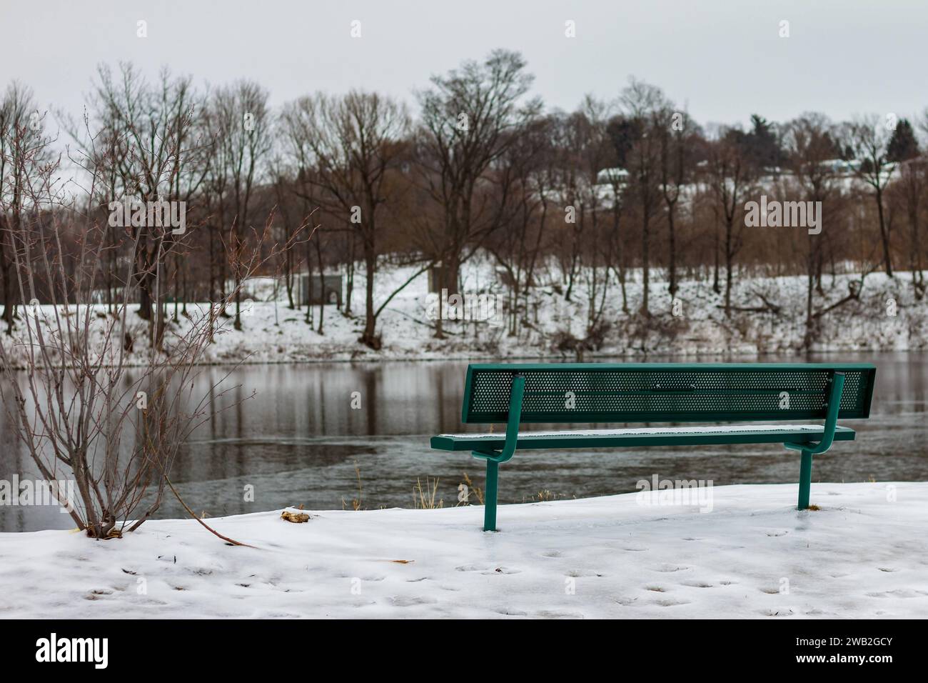 Tree overlooking pond hi-res stock photography and images - Alamy