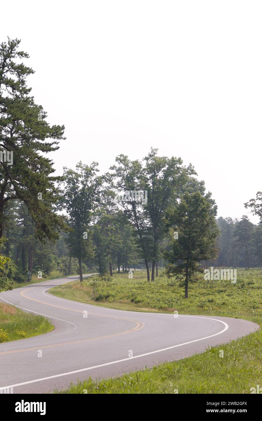 Foggy wooded scene with winding road Stock Photo - Alamy