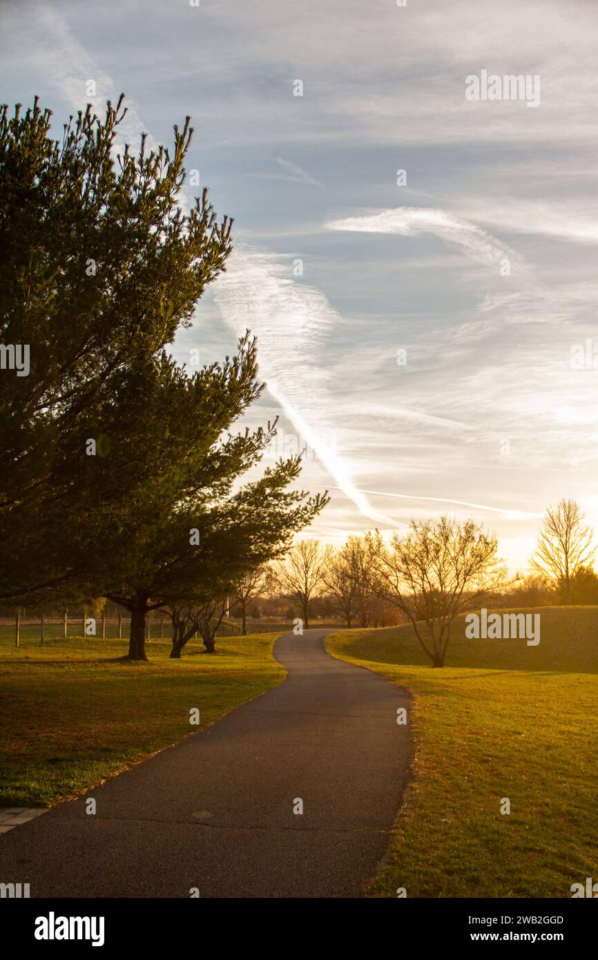 Grassy park hi-res stock photography and images - Alamy