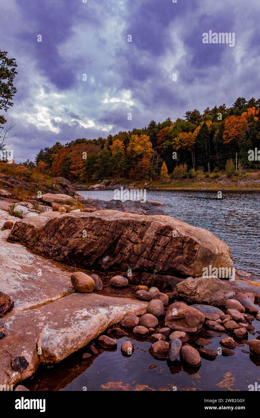 Wooded view hi-res stock photography and images - Alamy