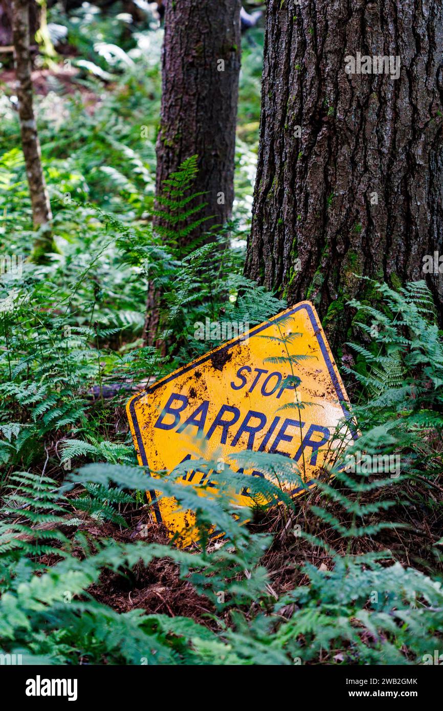 Abandoned road sign in the woods Stock Photo - Alamy