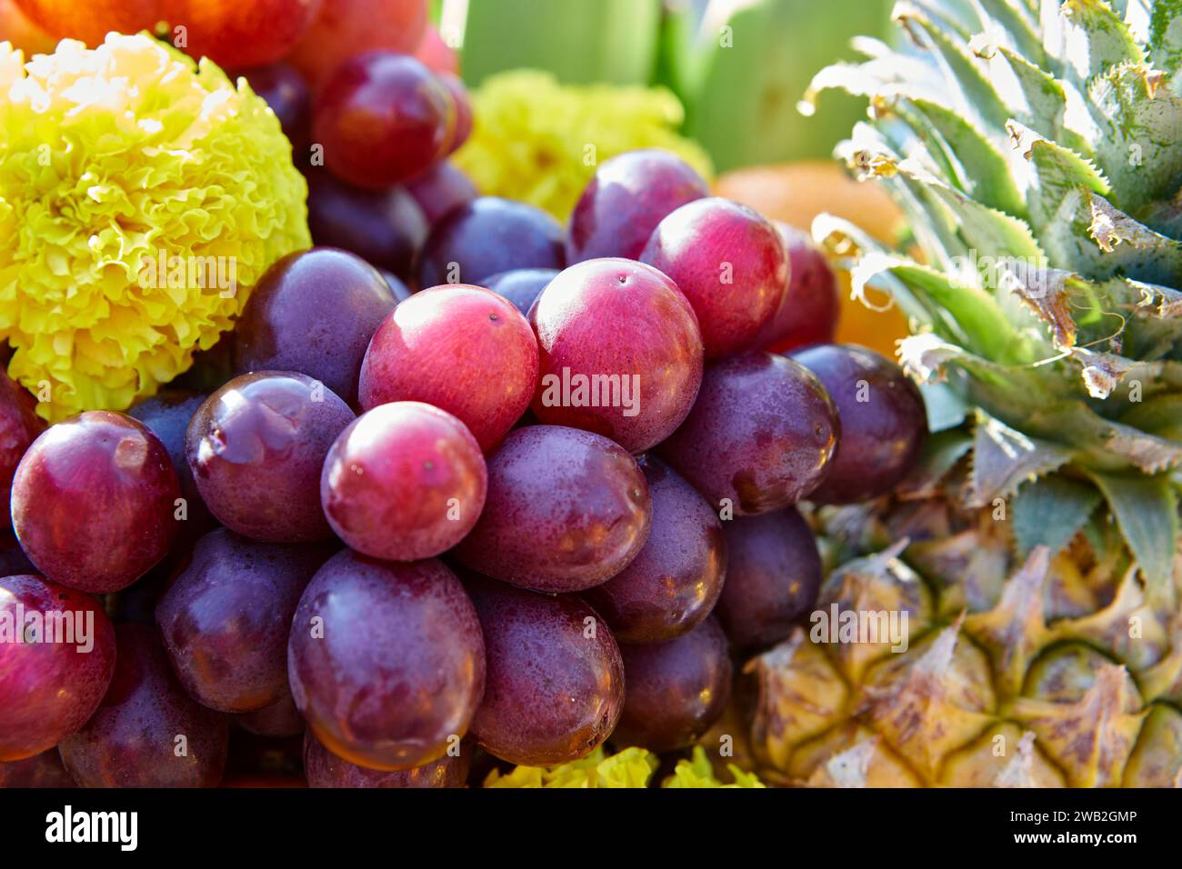 Food grape hi-res stock photography and images - Alamy