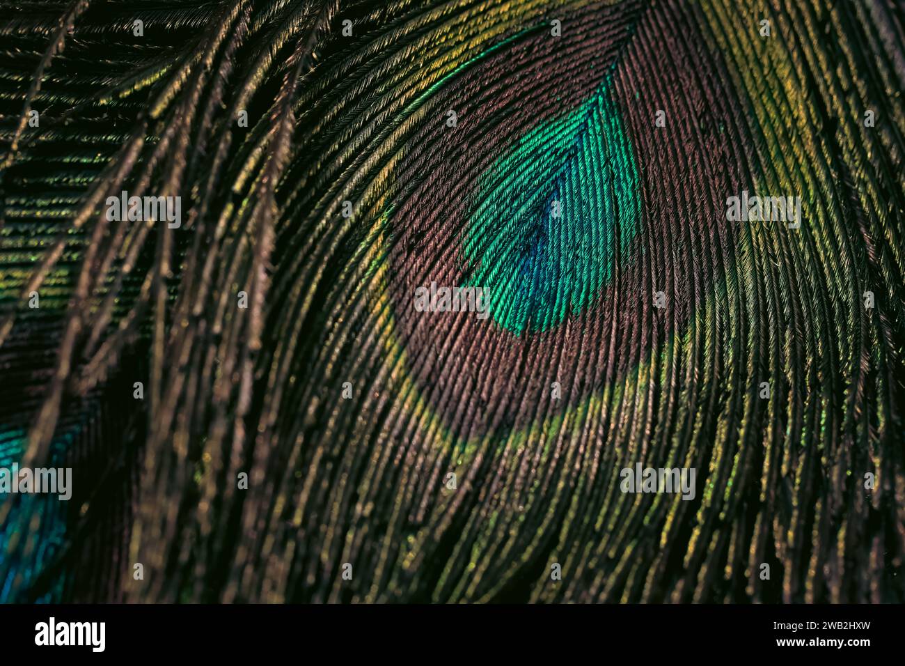 Grandiose displays hi-res stock photography and images - Alamy