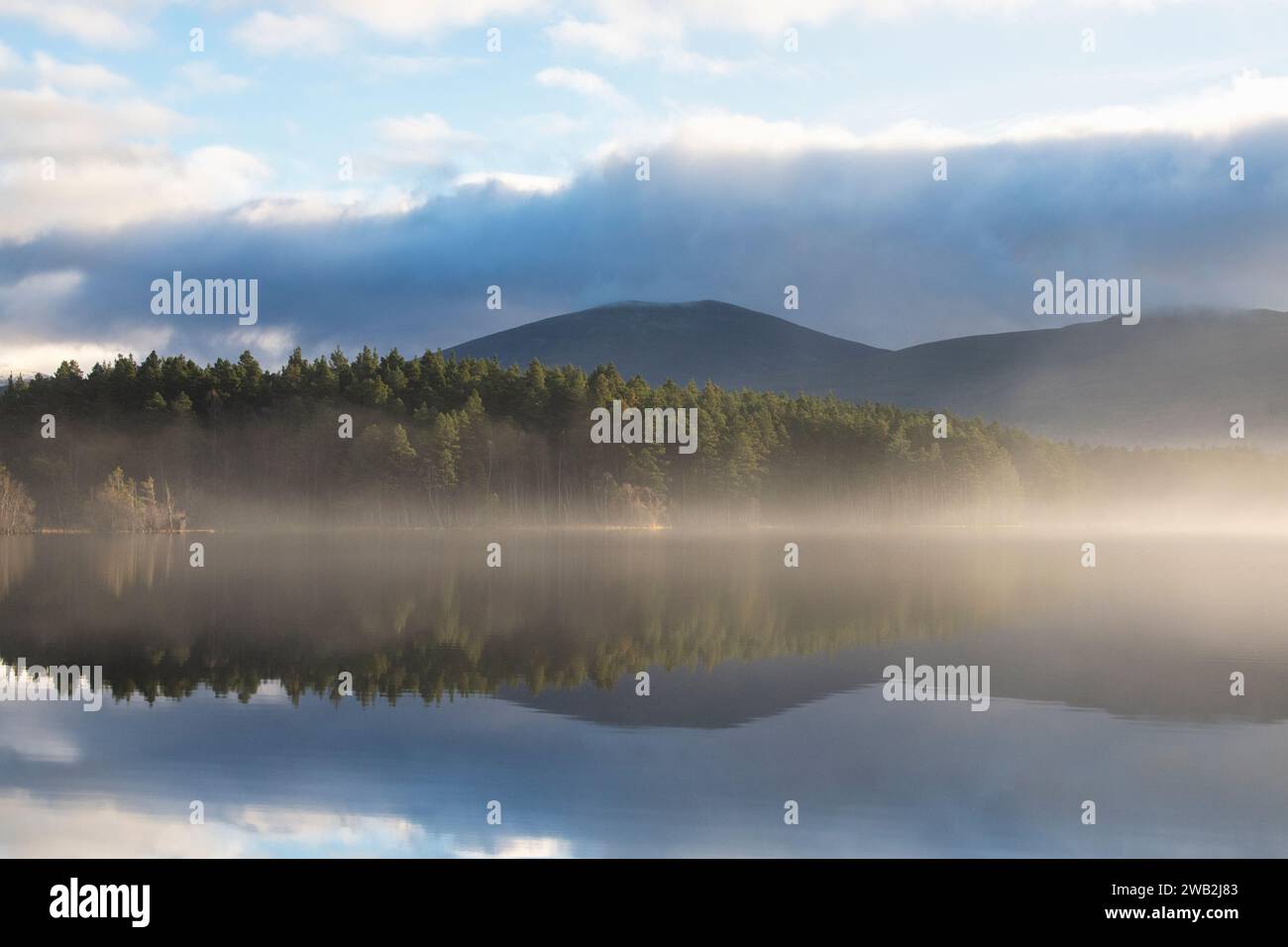 Mist over Loch Garten. Highlands, Scotland Stock Photo - Alamy