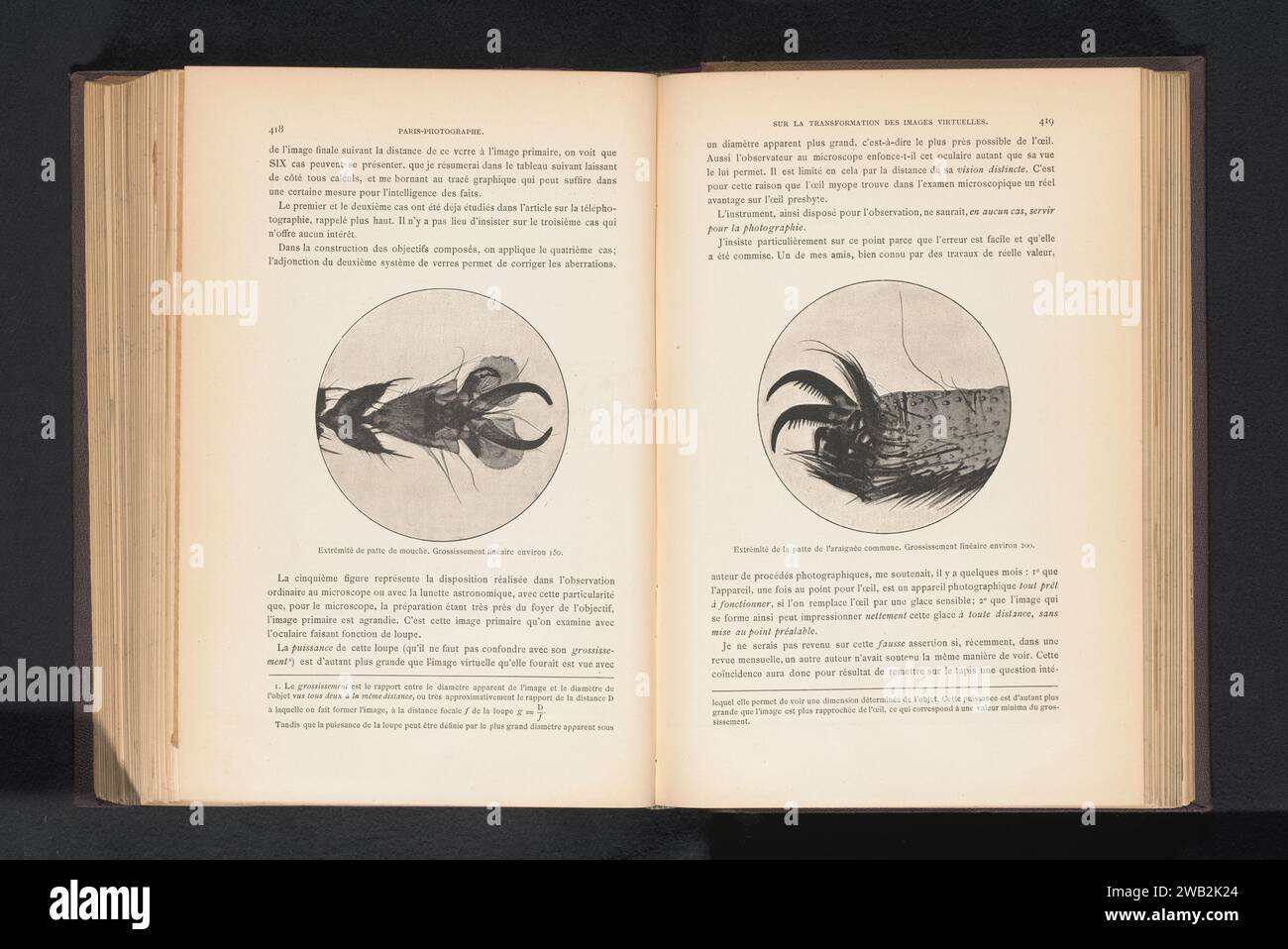 Microscope intake of the foot of a spider, anonymous, c. 1882 - in or ...