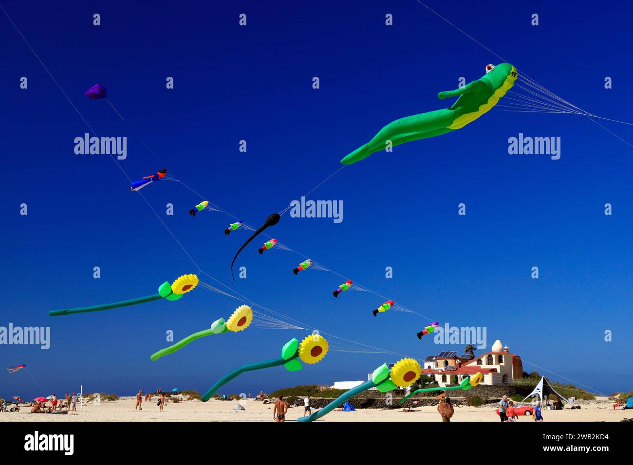 Kite flying, La Concha Beach, El Cotillo, Fuerteventura, Canary Islands ...