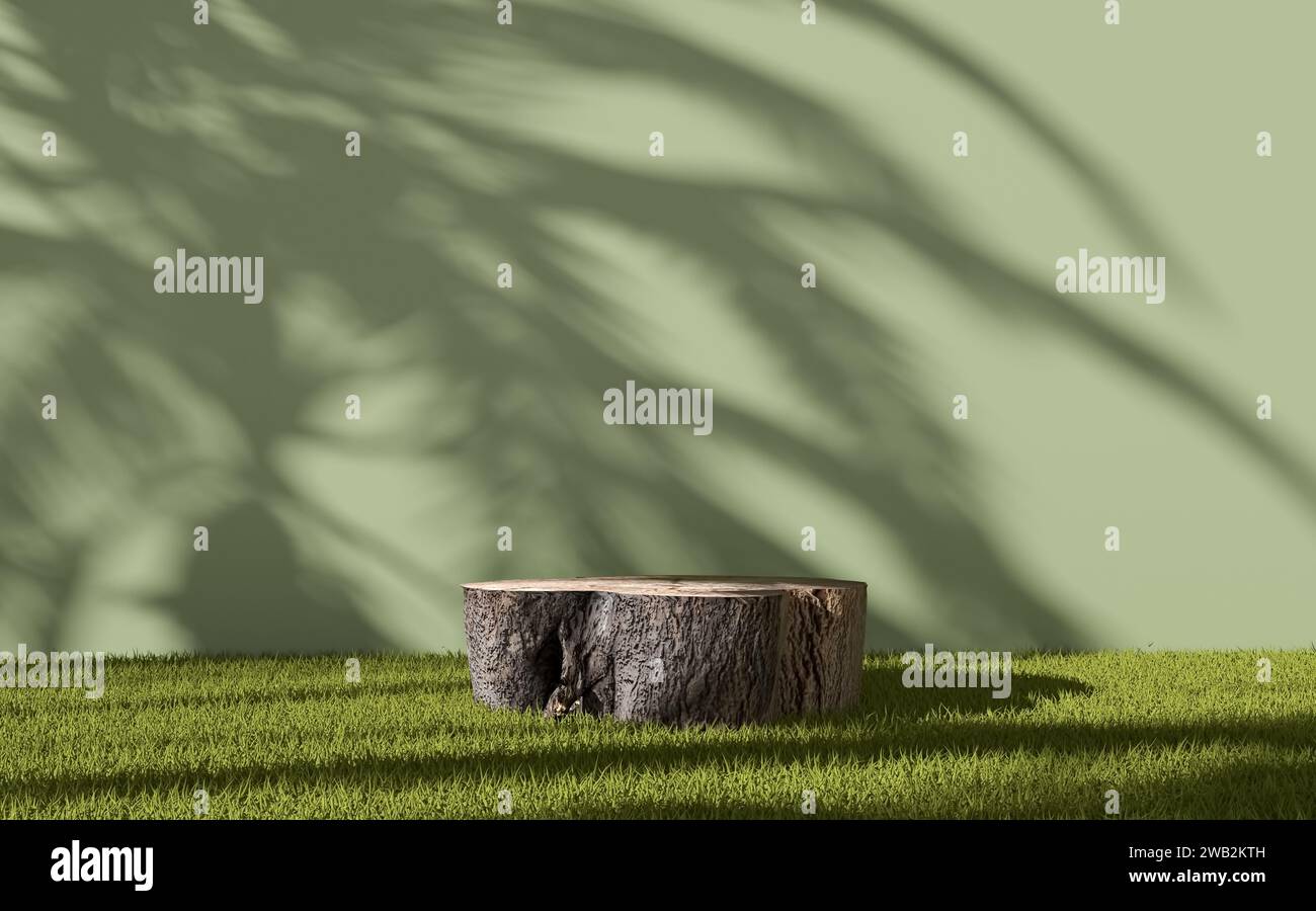 Tree trunk stump stand or podium on the green grass of a garden for ...