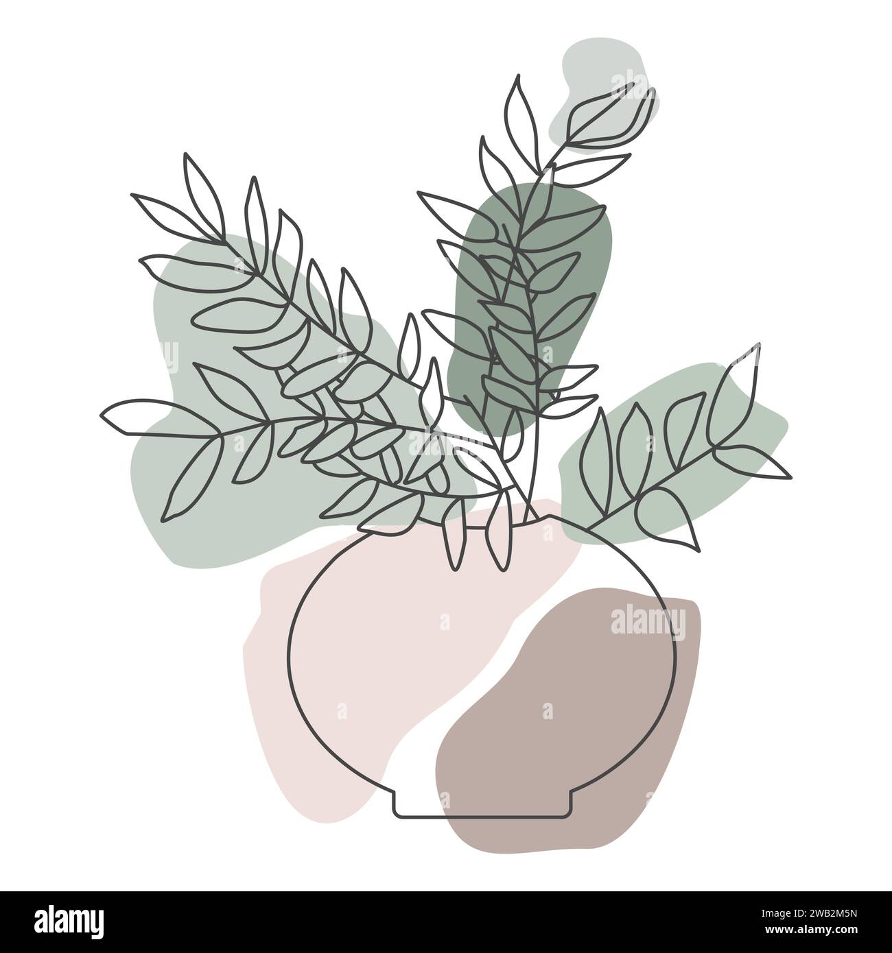 Line art potted eucalyptus, Vector outline Isolated House plant with ...