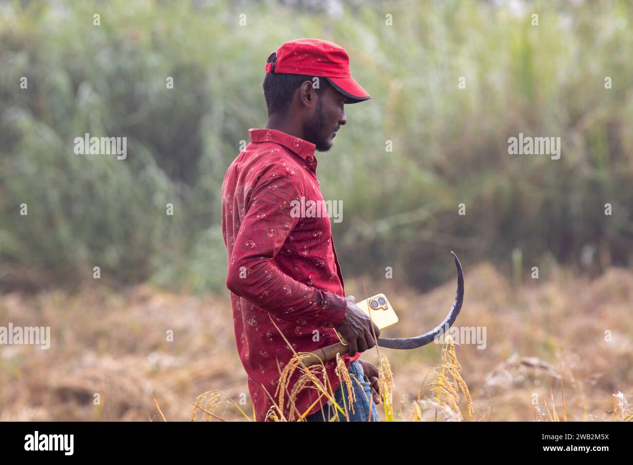 Farmer in bangladesh hi-res stock photography and images - Alamy