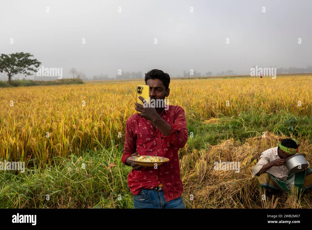 Chattogram, Bangladesh. 17th Dec, 2023. A farmer took a picture with a ...