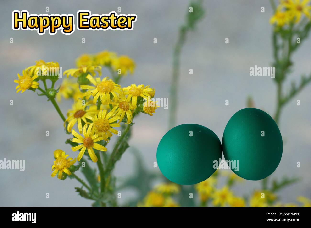 wishes, Easter, background, colors, pattern, spring, beautiful ...