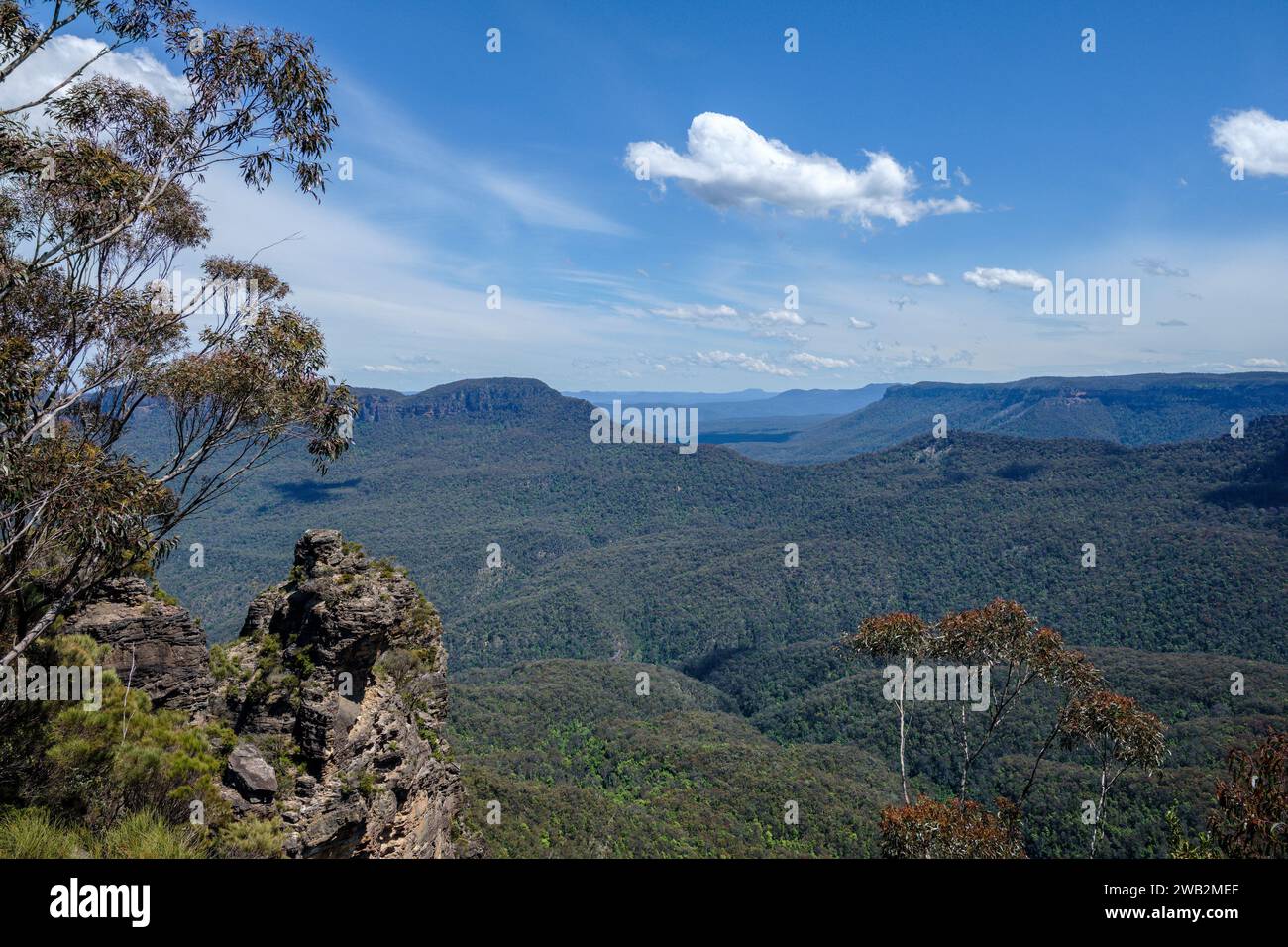 The Jamison Valley in the Blue Mountains at Katoomba, New South Wales ...