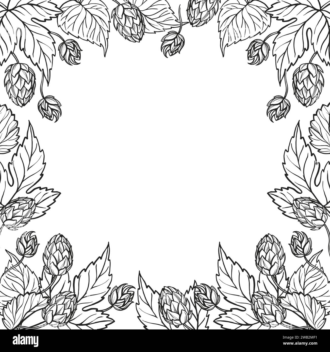 Hand drawn vector frame with hop plant, leaves and buds, craft beer ...