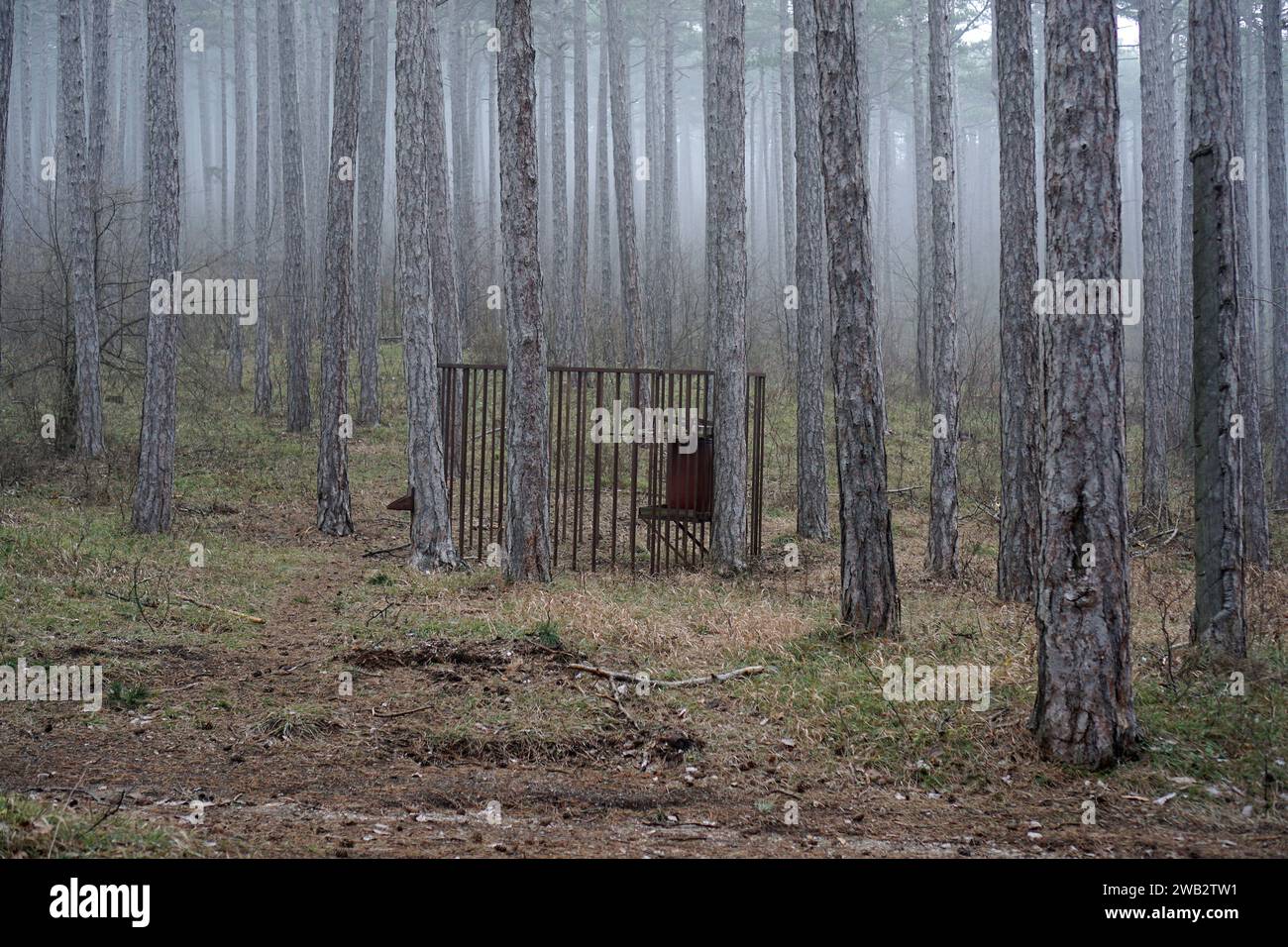 Hunter forest hi-res stock photography and images - Alamy