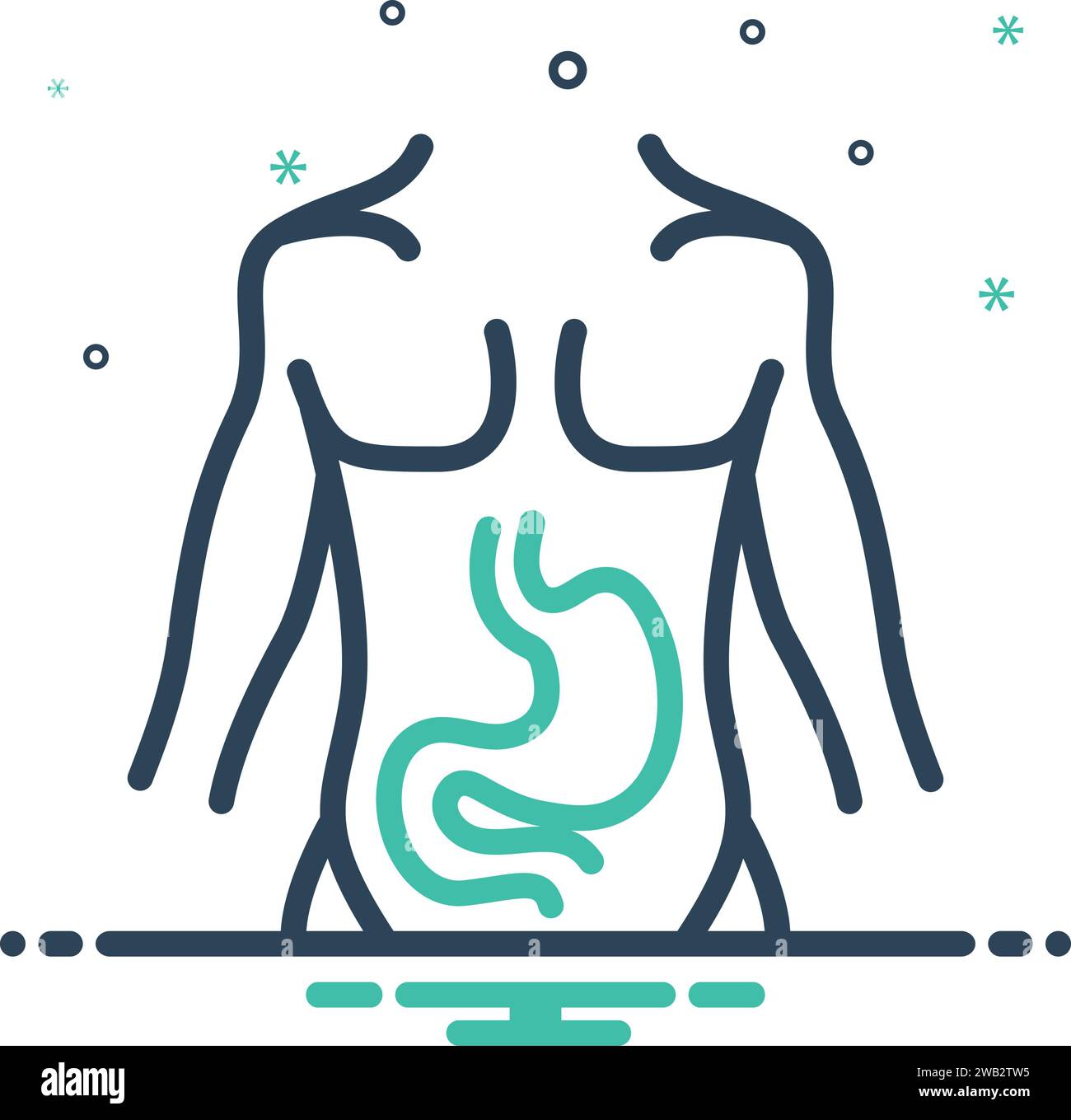 Belly stomach paunch Stock Vector Images - Alamy