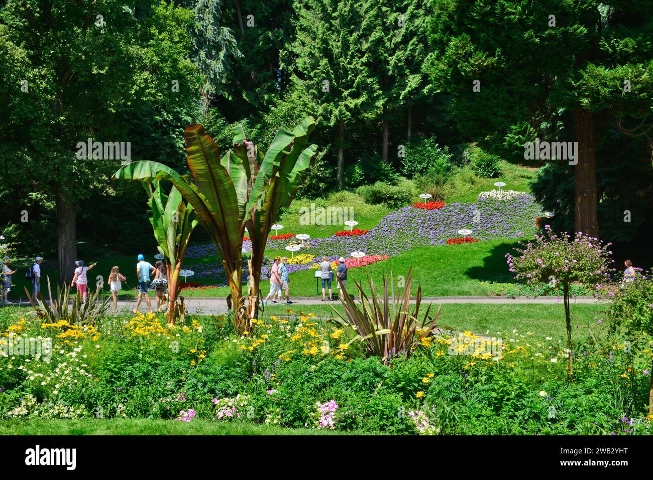 Insel Mainau im Bodensee Ein sommerlicher Streifzug über die Insel ...