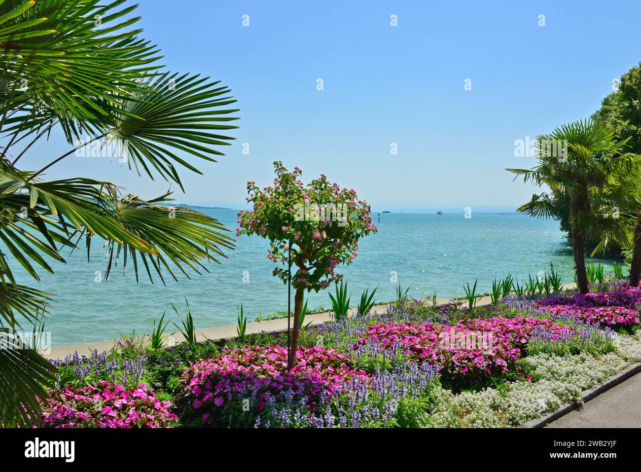 Blumen insel mainau im bodensee hi-res stock photography and images - Alamy