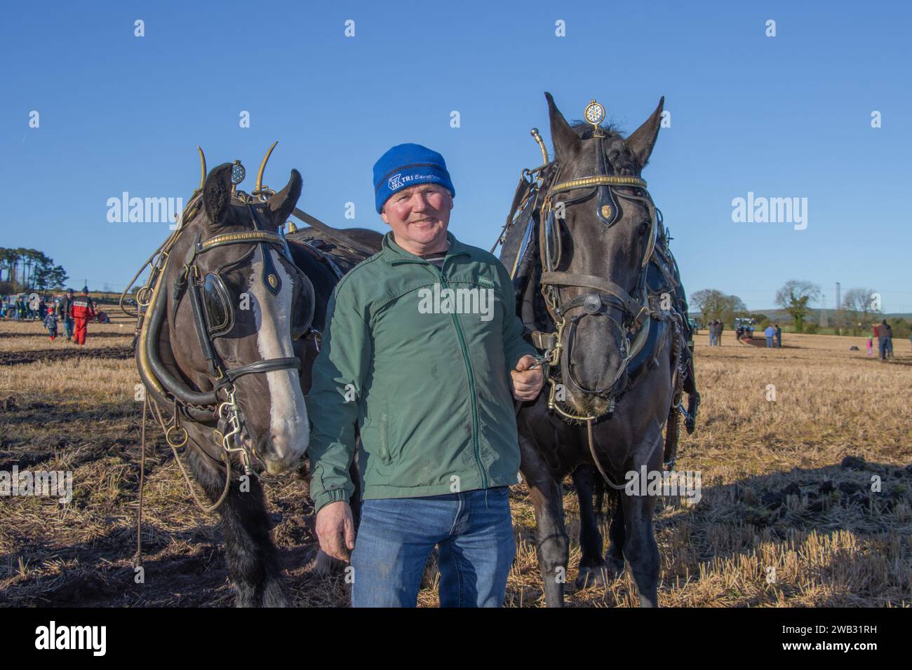 Ploughing match macroom hi-res stock photography and images - Alamy