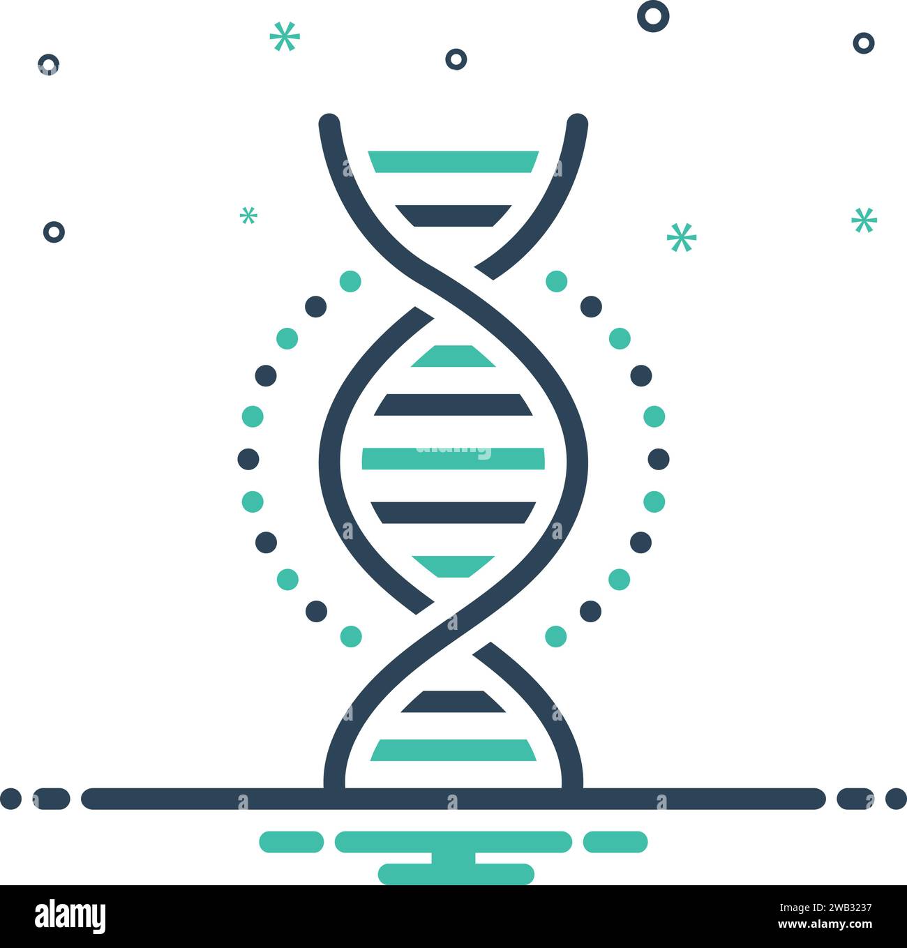 Code genotype hi-res stock photography and images - Alamy