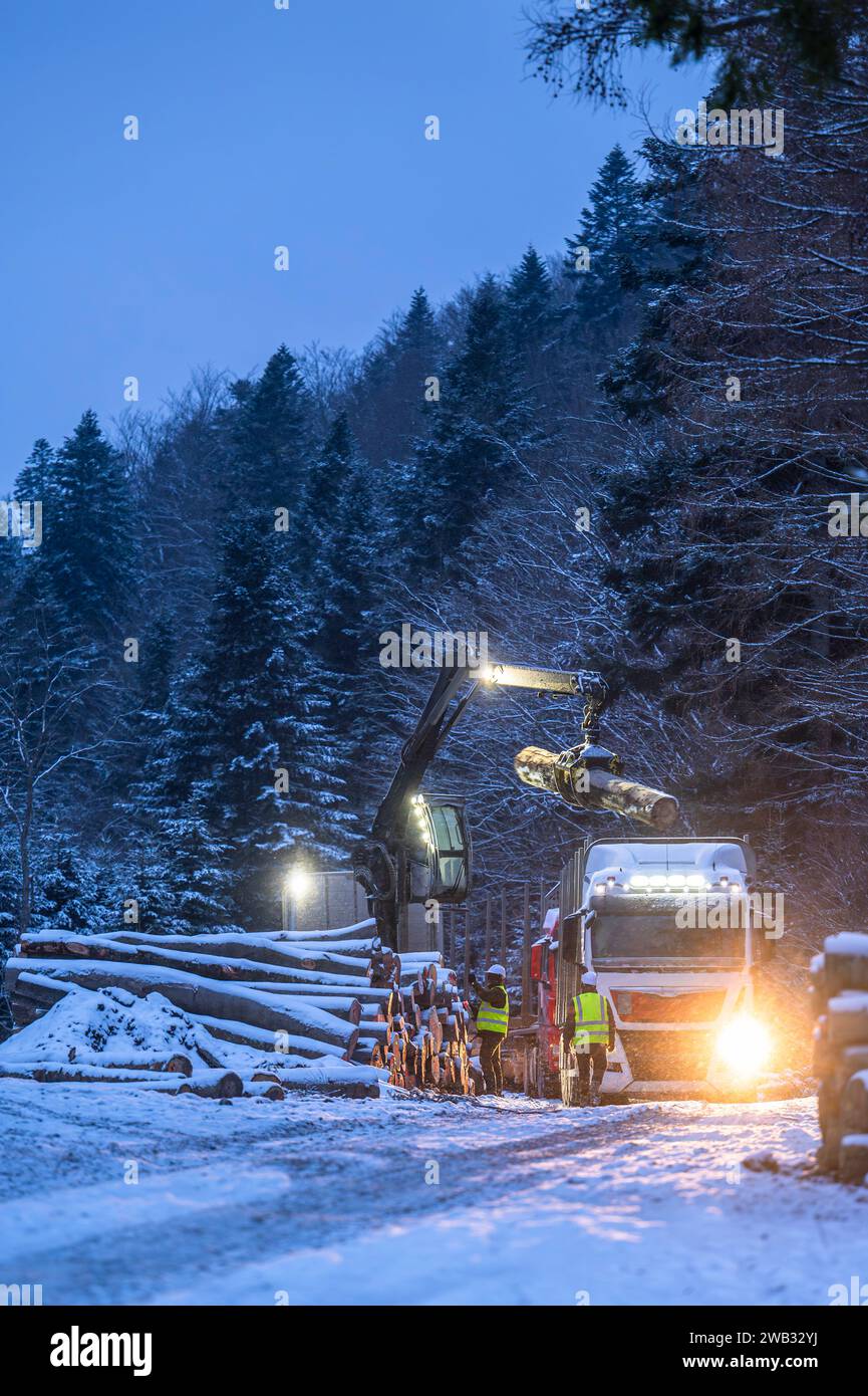 Loading wood onto a truck in the forest in winter Stock Photo - Alamy
