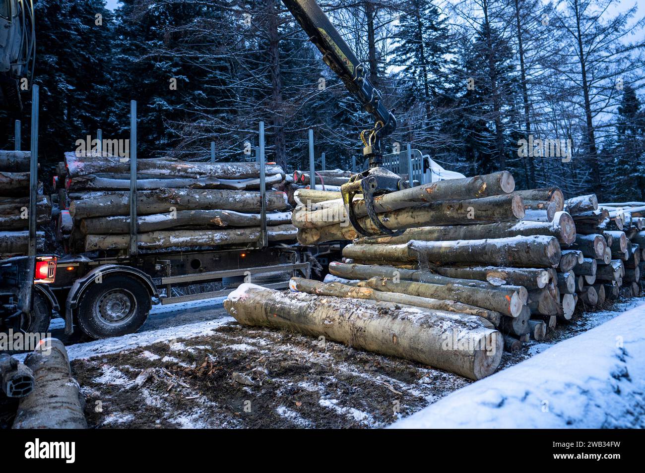 Loading wood onto a truck at night Stock Photo - Alamy