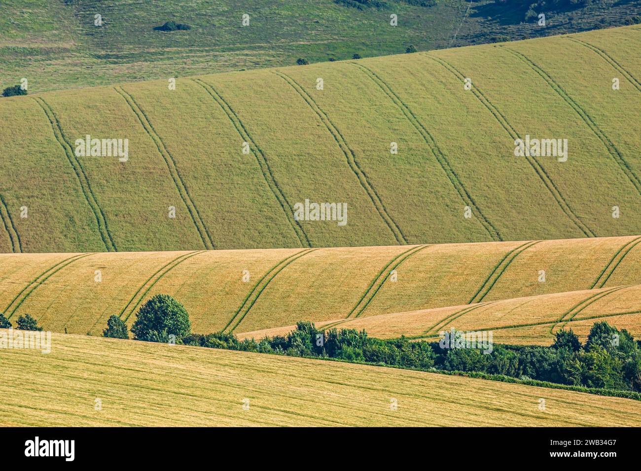 Undulating textures hi-res stock photography and images - Alamy