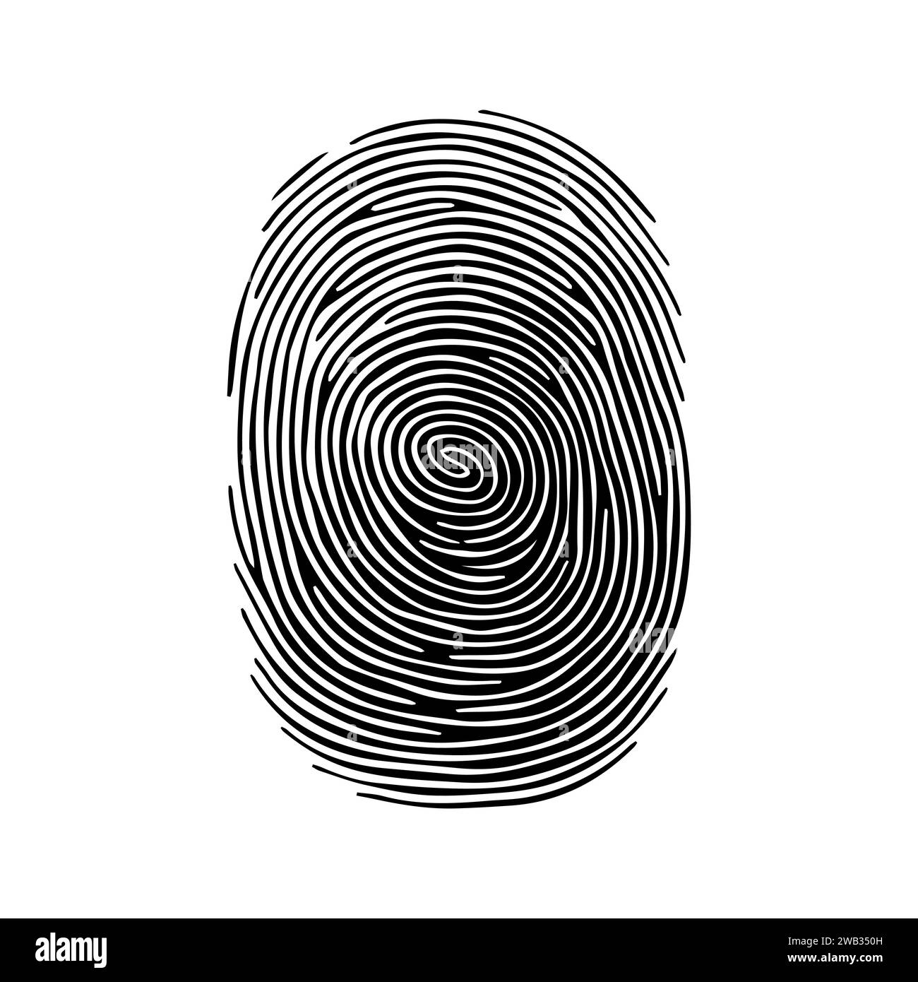 Fingerprint pattern, clear lines and swirls. Human thumbprint. Icon ...