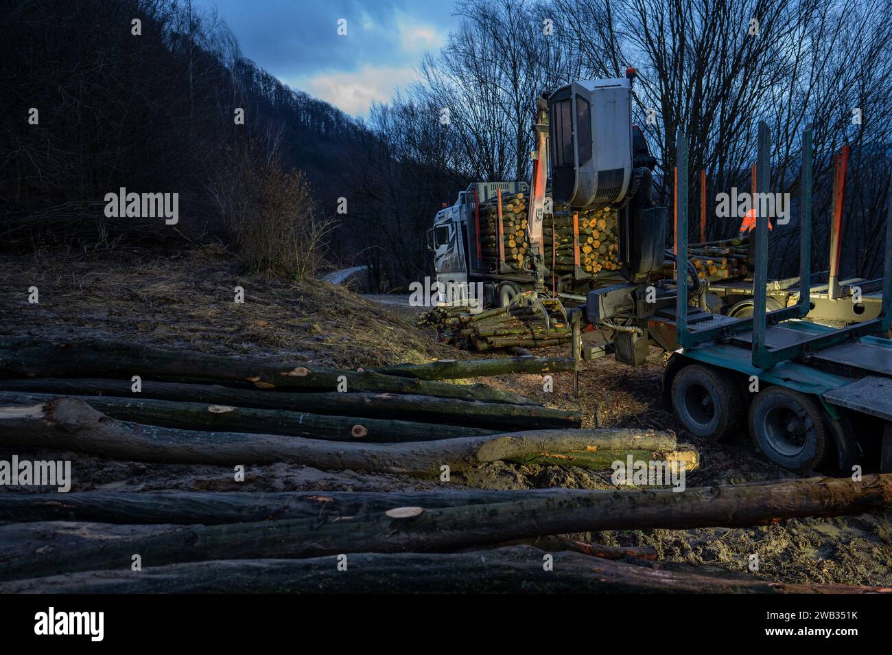 Loading wood onto a truck at night Stock Photo - Alamy