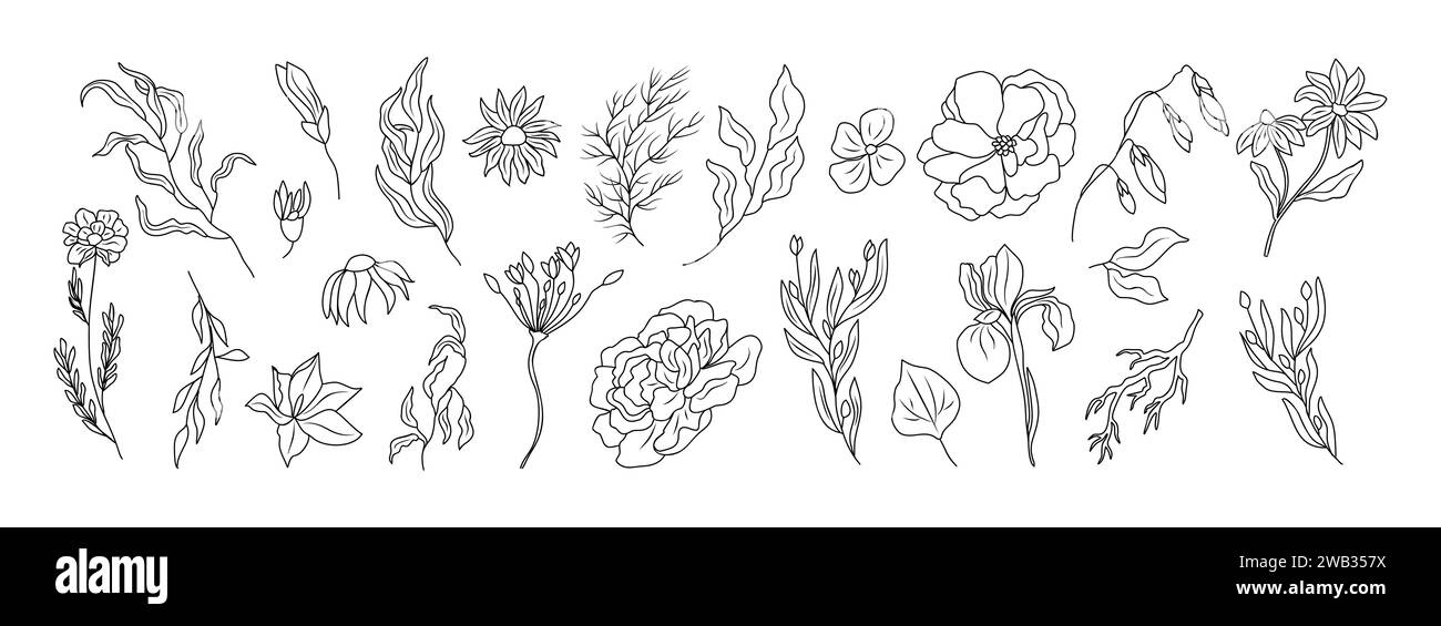 Tiny plants spring Cut Out Stock Images & Pictures - Alamy