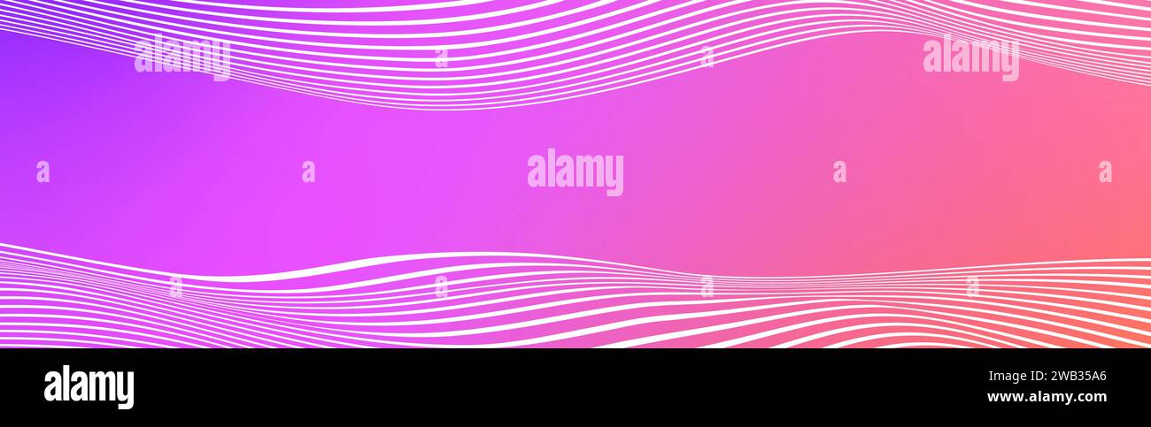 Abstract white wave lines on pink purple gradient background. Wide ...
