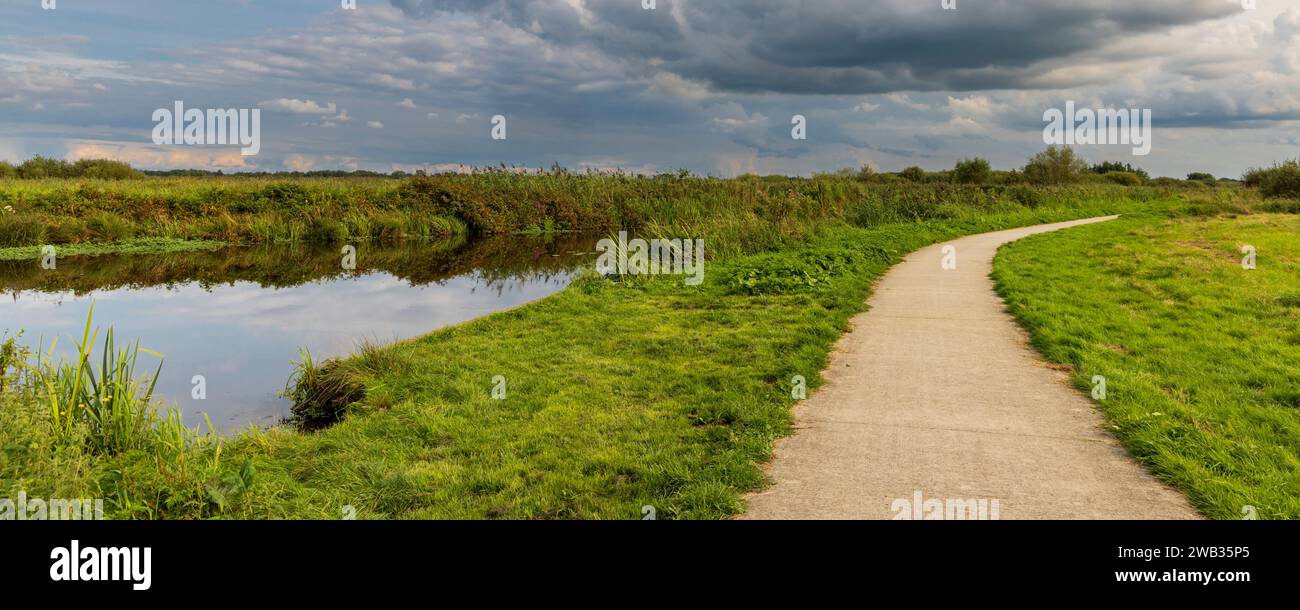 Dutch landscape with cycling road along nature park De Onlanden near ...