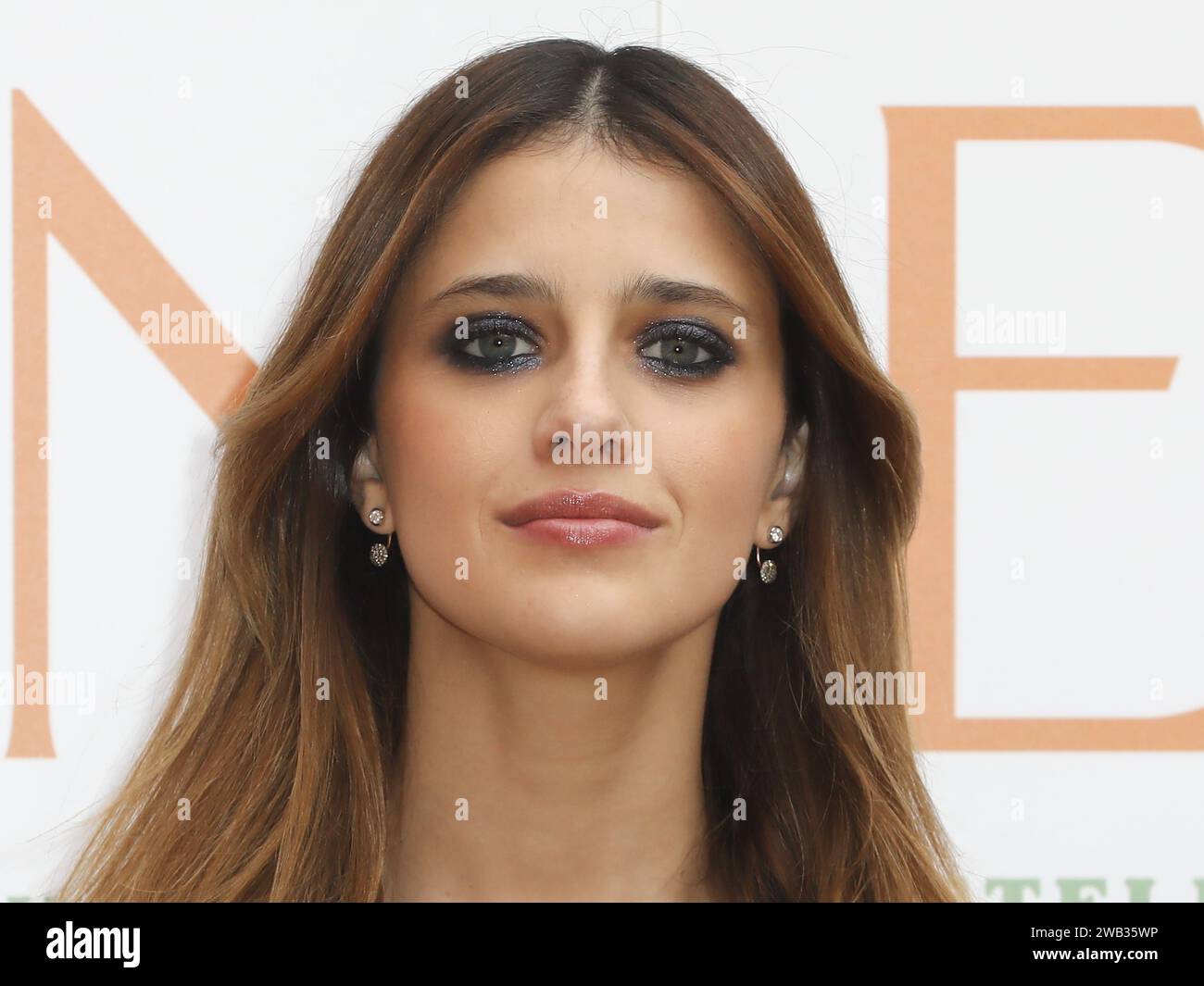 Rome, Italy. 08th Jan, 2024. Rome, Hotel De la Ville, photocall film ...