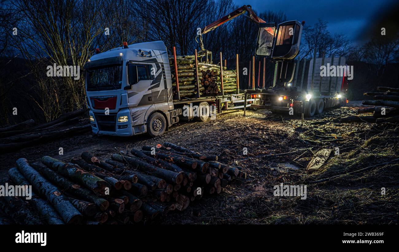 Loading wood onto a truck at night Stock Photo - Alamy