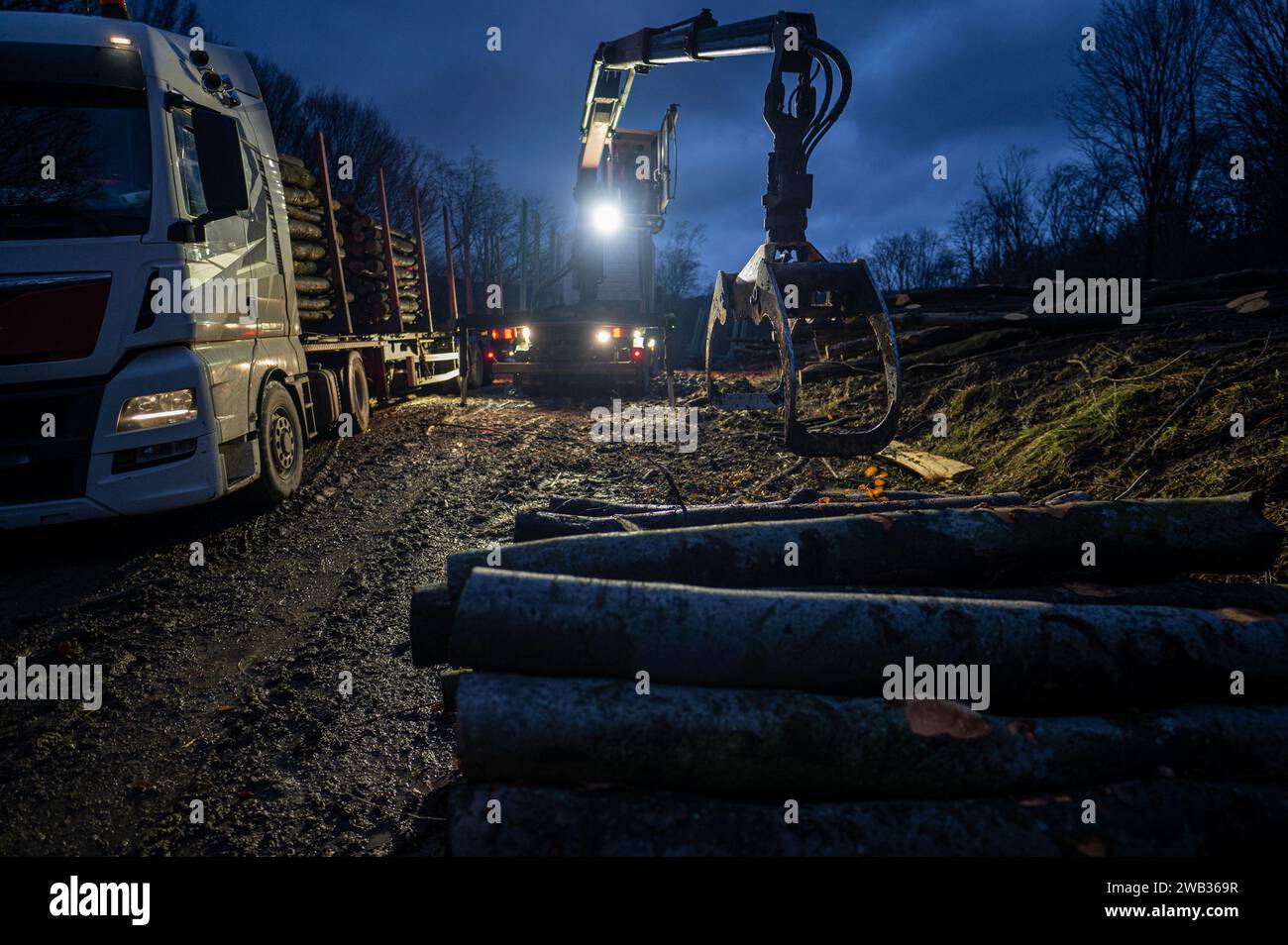 Loading wood onto a truck at night Stock Photo - Alamy