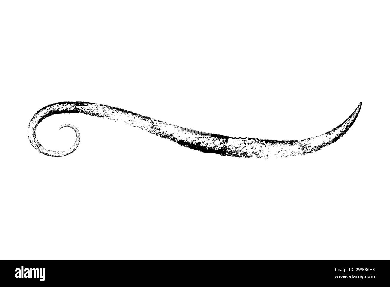 Crayon charcoal Swoosh and swoop underline typography tail shape. Brush ...