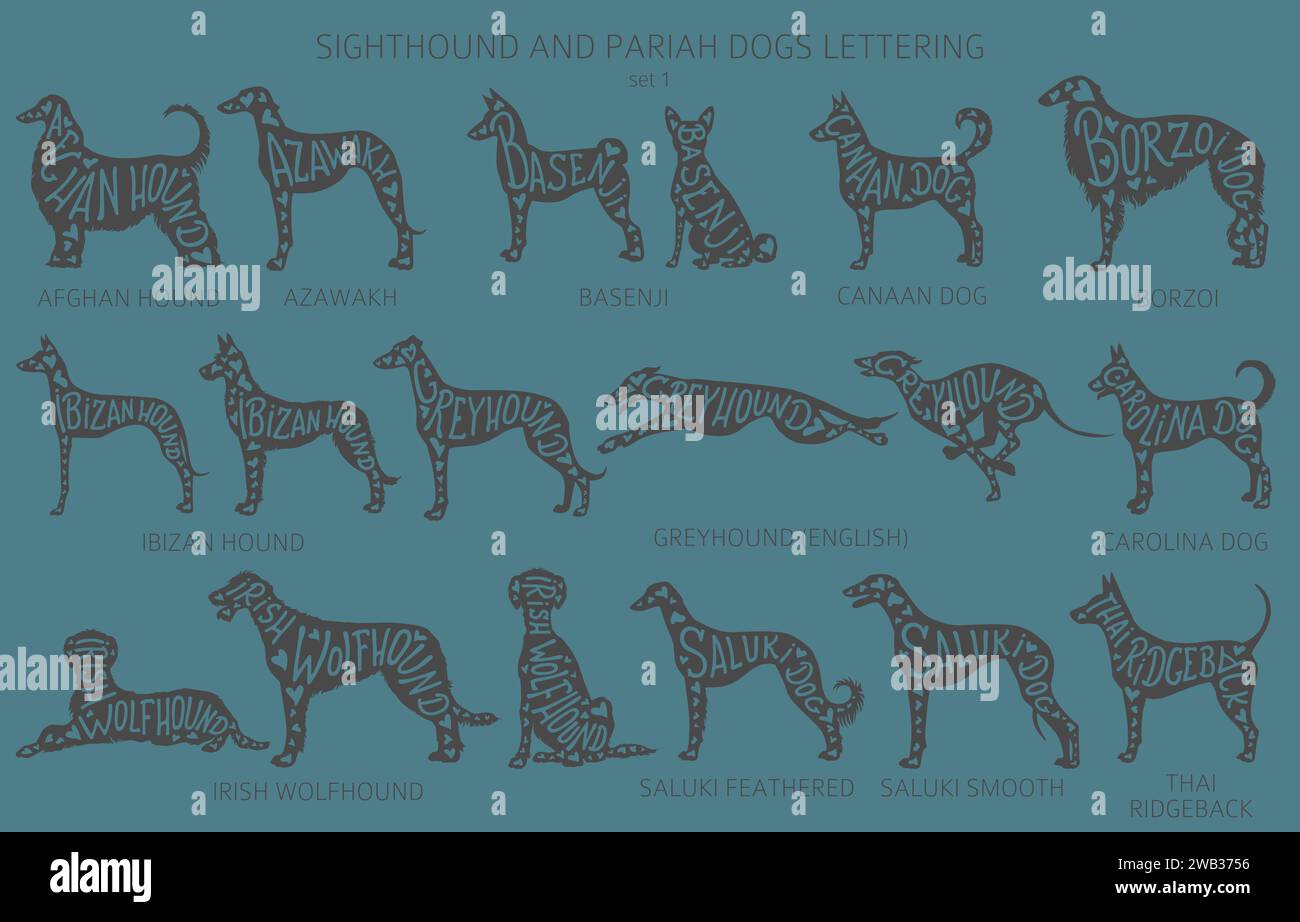 Dog breeds silhouettes with lettering, simple style clipart. Hunting ...