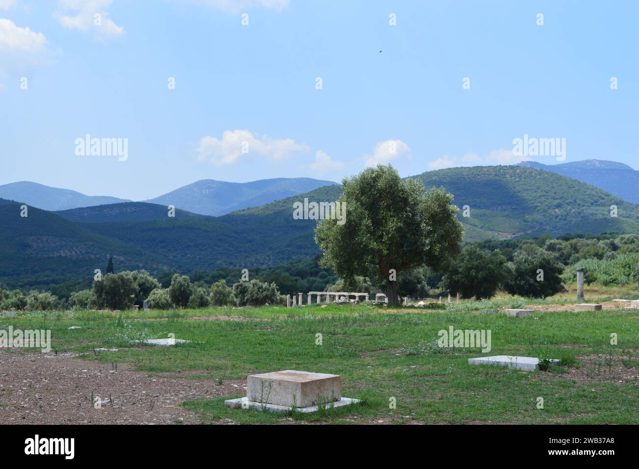 View of the ruins of the ancient greek city of Messene and its ...