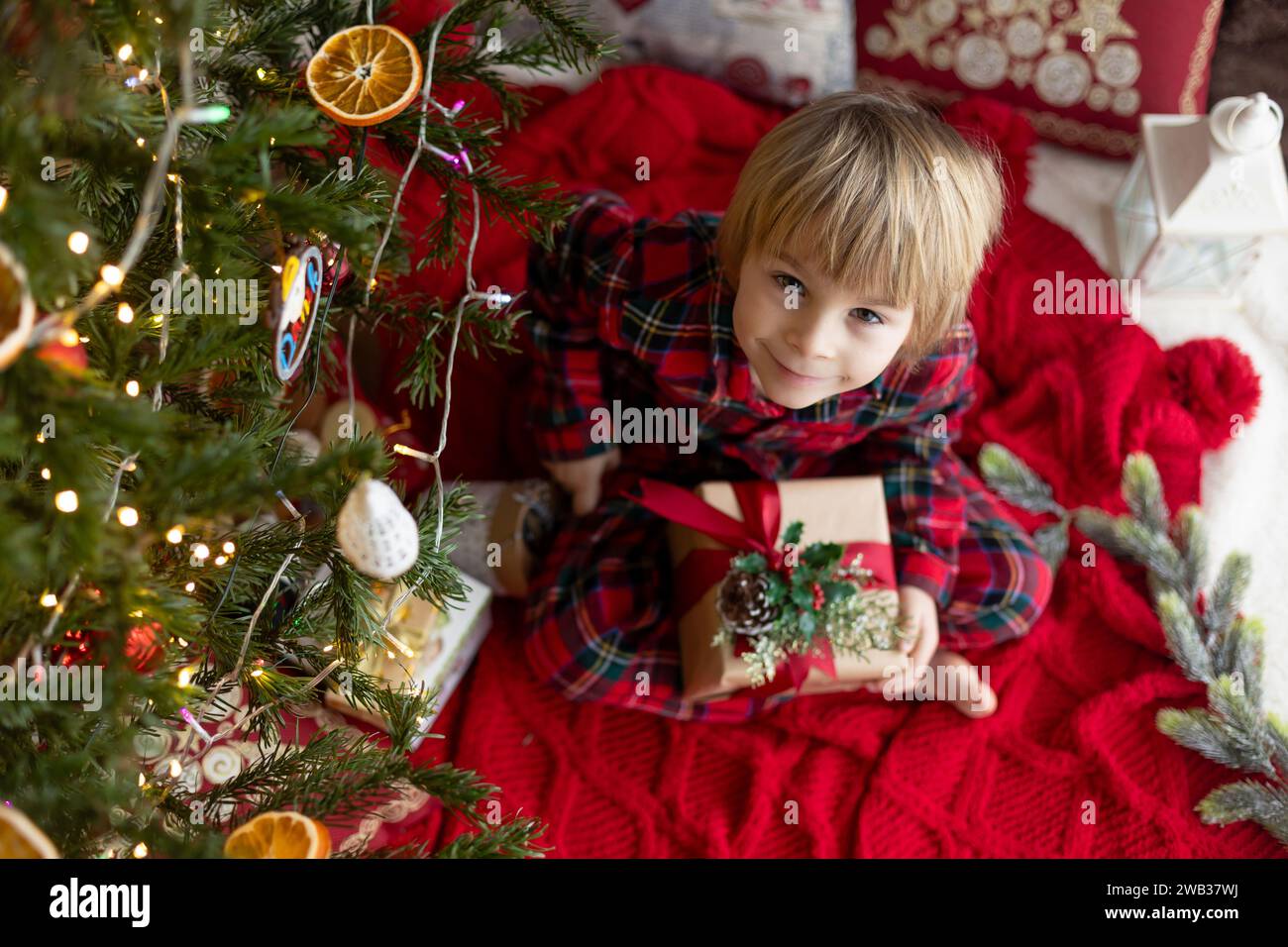 Cute child, cute blond boy, sleeping under the christmas tree, waiting ...