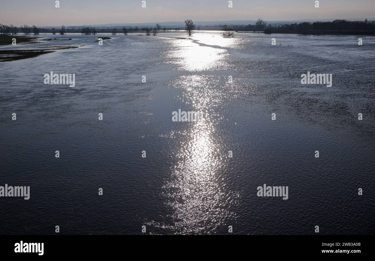 Torgau, Germany. 08th Jan, 2024. The sun shines on the Elbe meadows ...