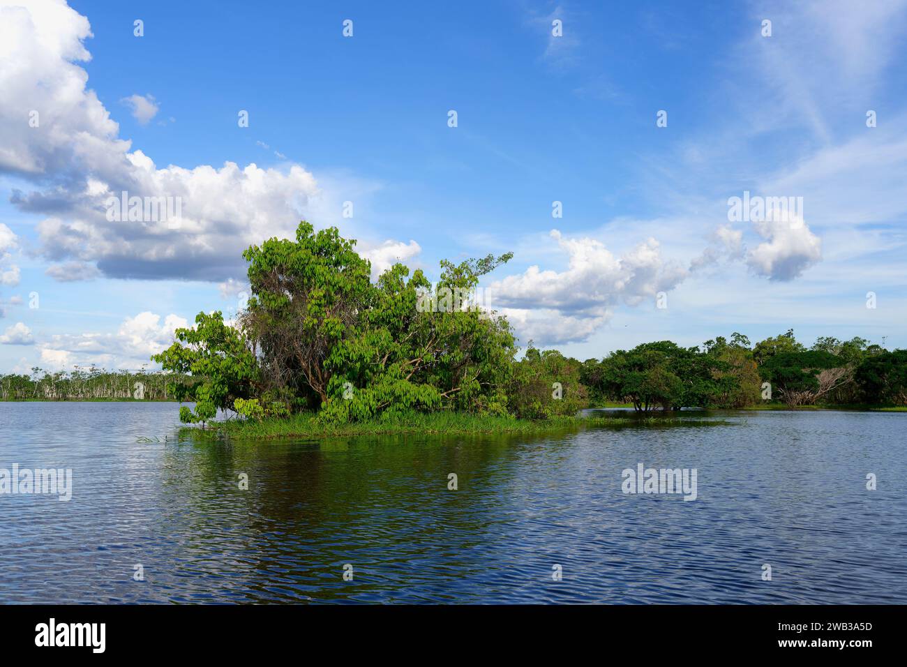 Amazon rainforest brazil river hi-res stock photography and images - Alamy