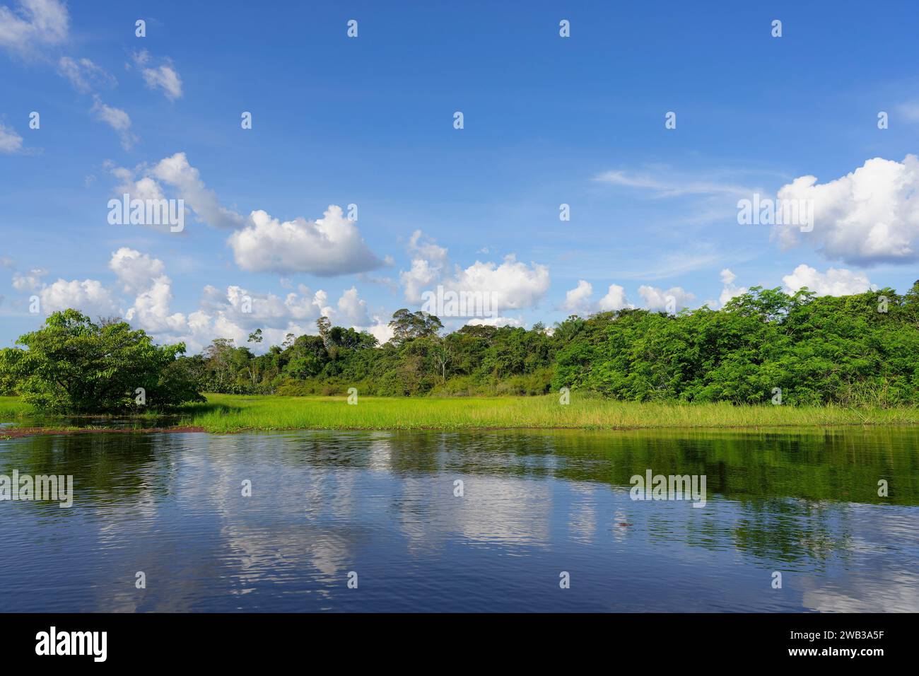 Amazon rainforest brazil river hi-res stock photography and images - Alamy
