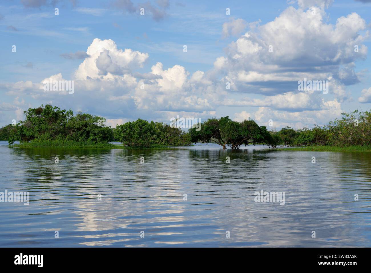 Amazon rainforest brazil river hi-res stock photography and images - Alamy